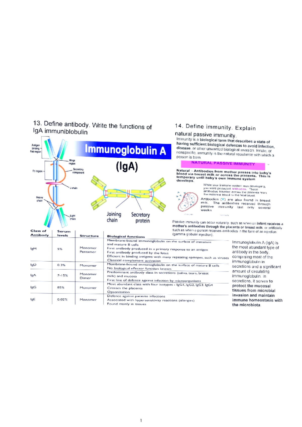 Microbiology notes Bsc nursing lecture notes rajiv gandhi university ...