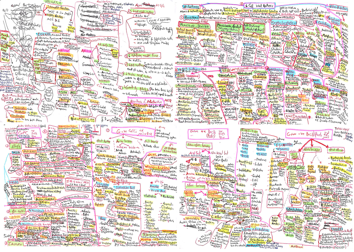 Abx Ultimate summary - Abx - 300833 - Studocu