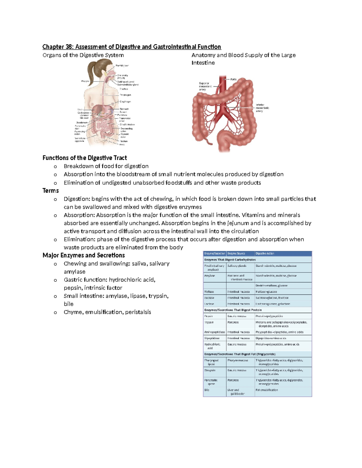 Chapter 38-Assessement - Chapter 38: Assessment of Digestive and ...