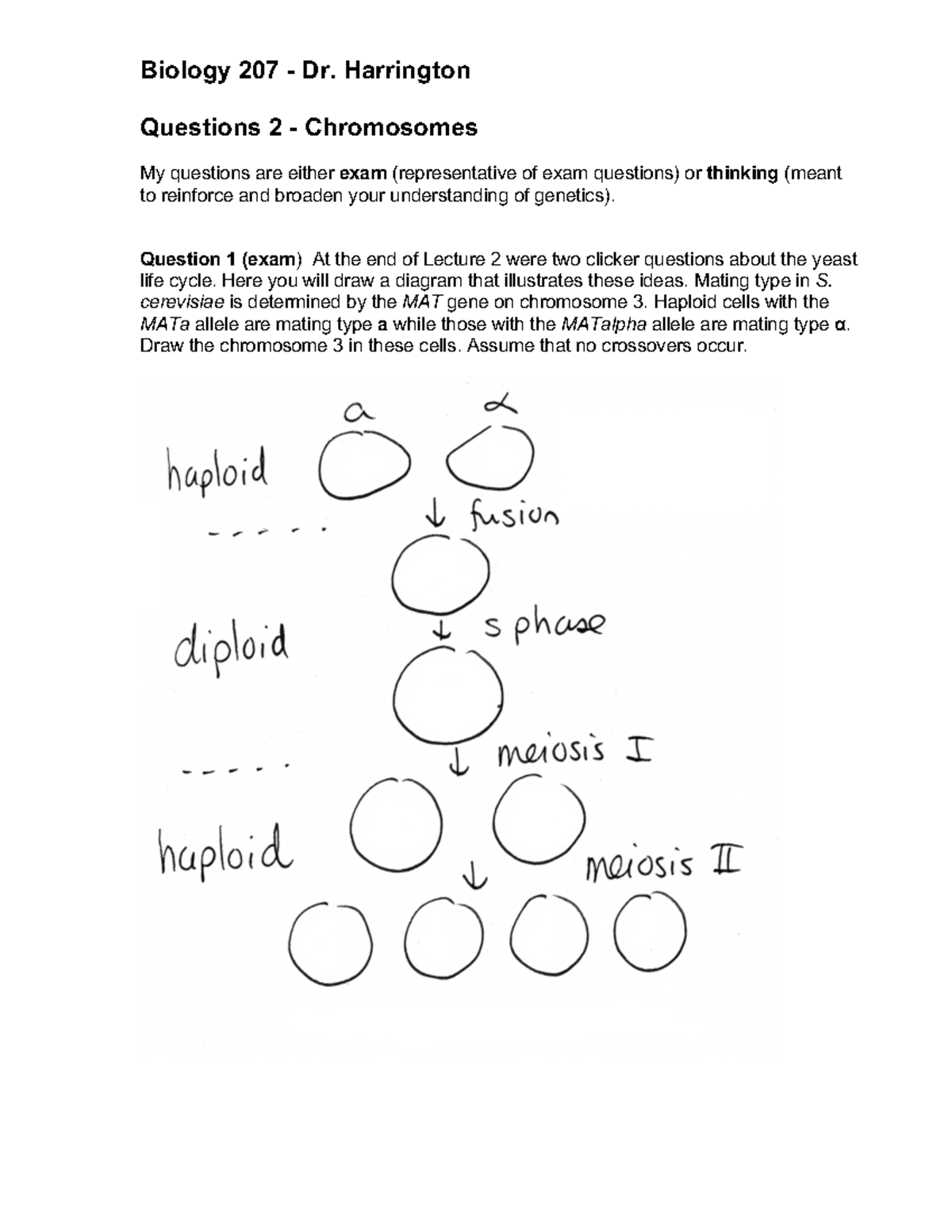 B207pq02 - LLL - Biology 207 - Dr. Harrington Questions 2 - Chromosomes ...