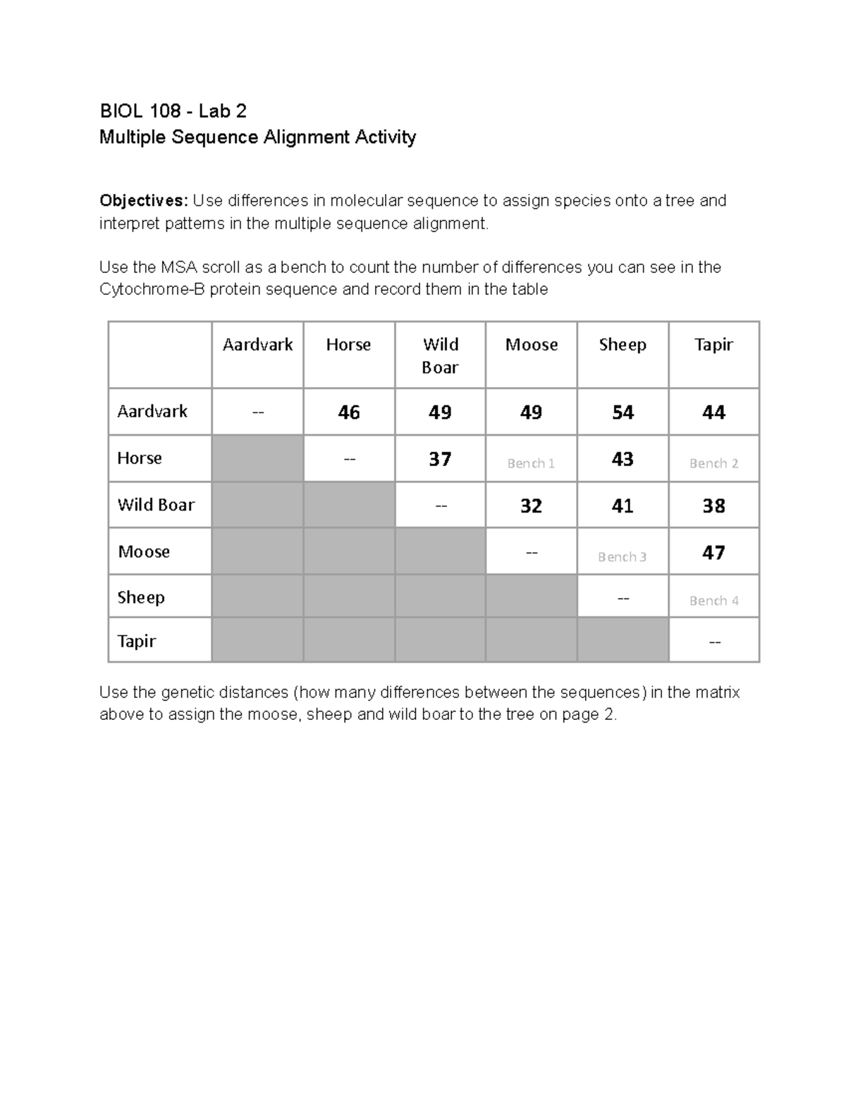 Copy of MSA - bonus (but mandatory) exercise - e Class version - MAKE A ...