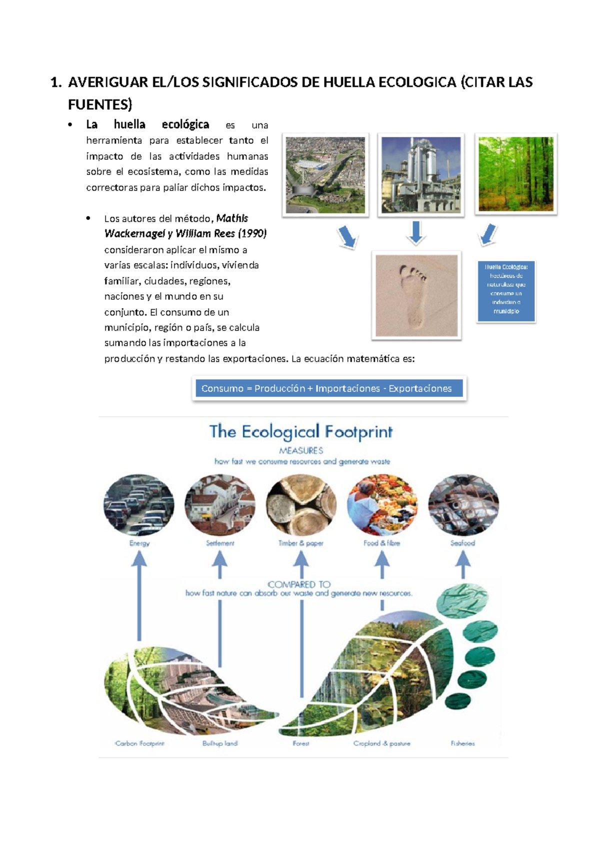 Huella Ecologica - Elaborado durante la carrera de geografía. - 1. AVERIGUAR EL/LOS SIGNIFICADOS ...