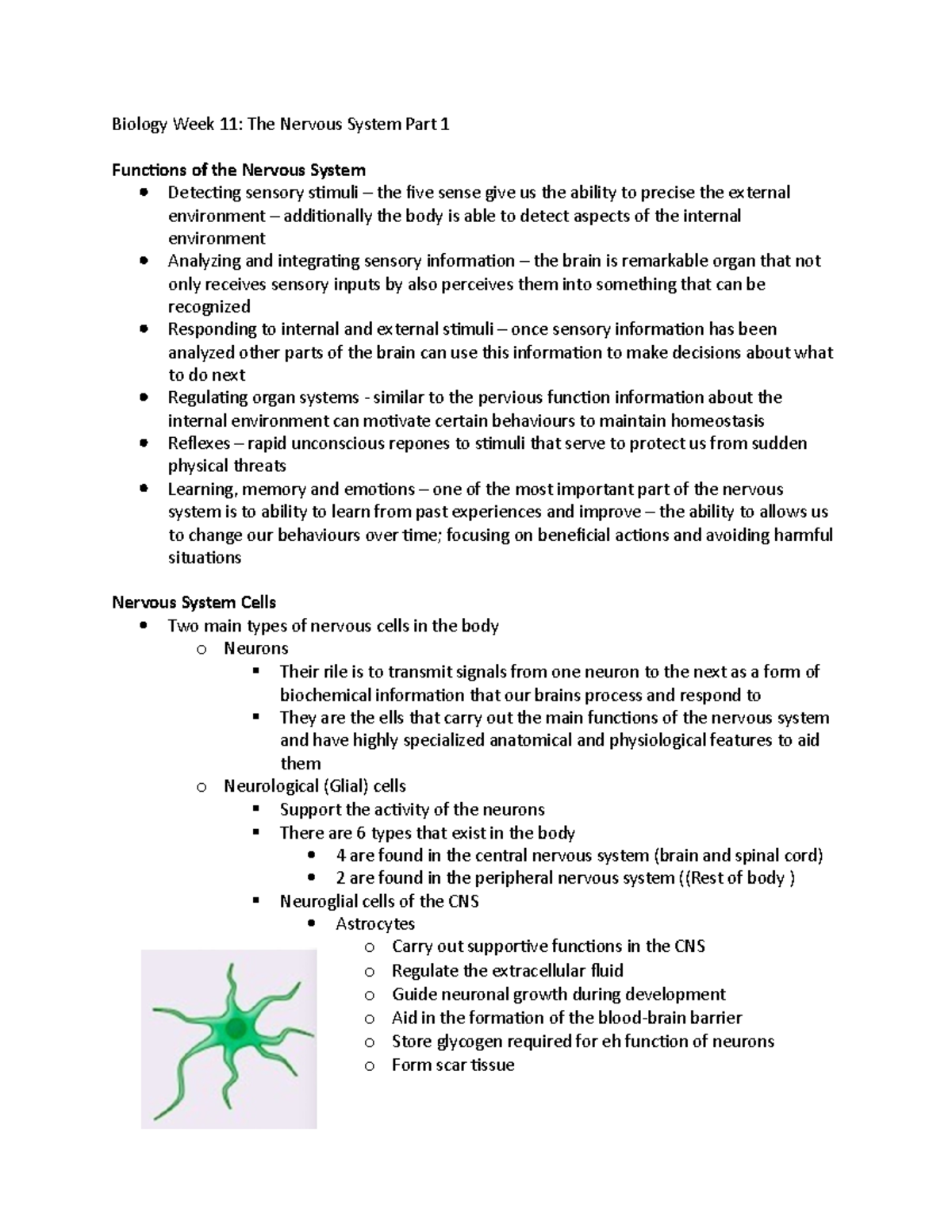 Biology Week 11 - Lecture notes - Biology Week 11: The Nervous System ...