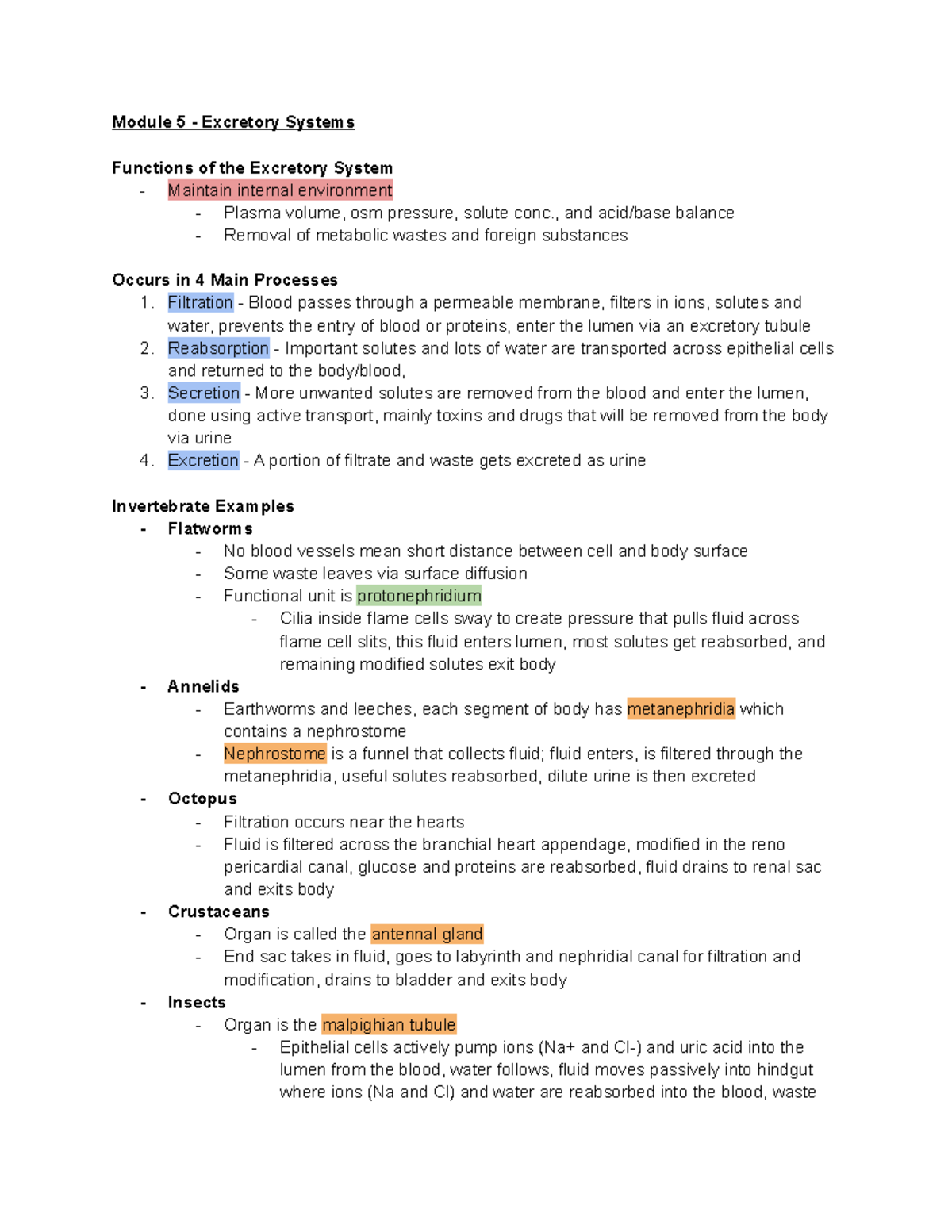 Bio 250 Module 5 Notes - Module 5 - Excretory Systems Functions of the ...