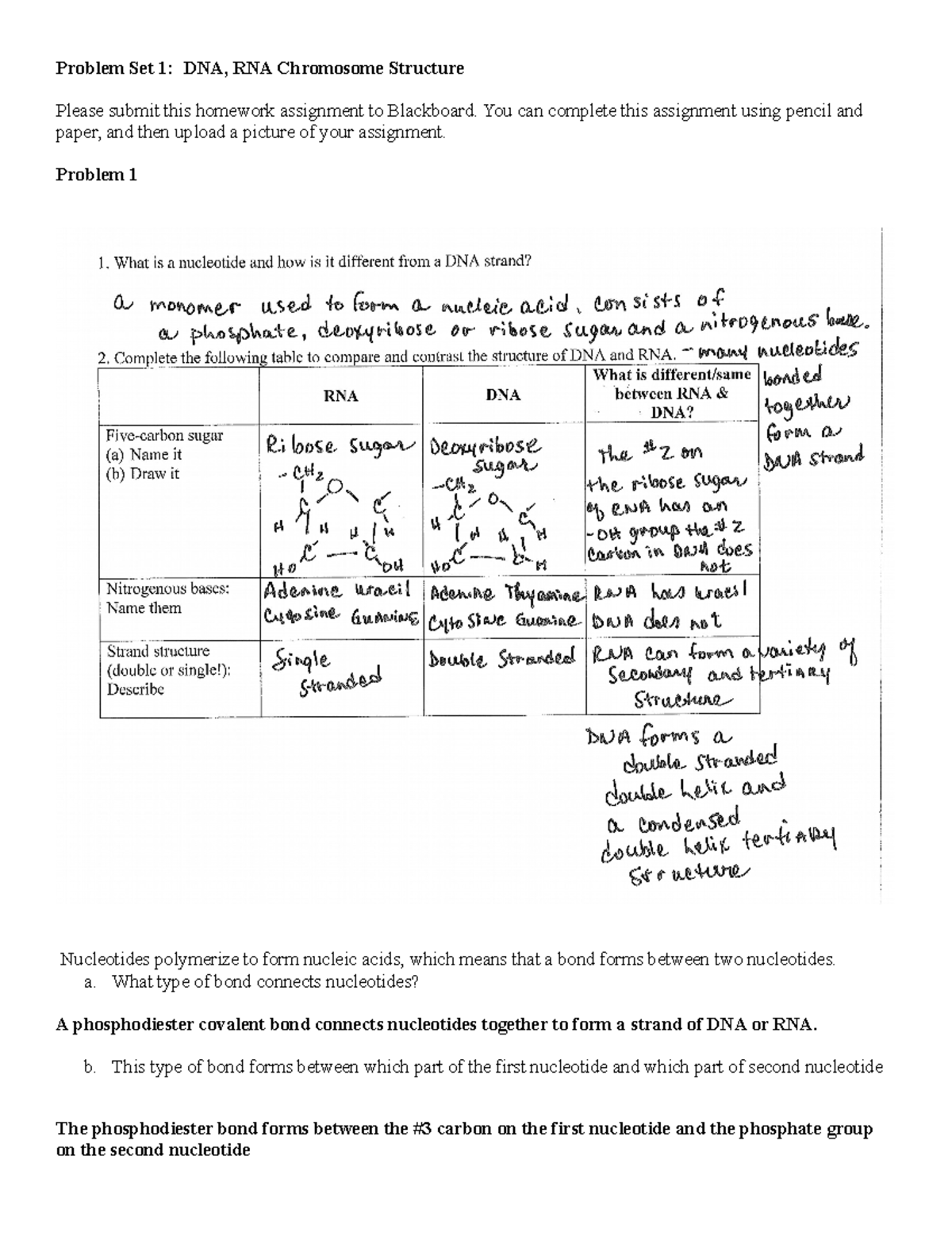 Problem Set Module 1,2 DNA, RNA, Chromosome structure, gene expression ...