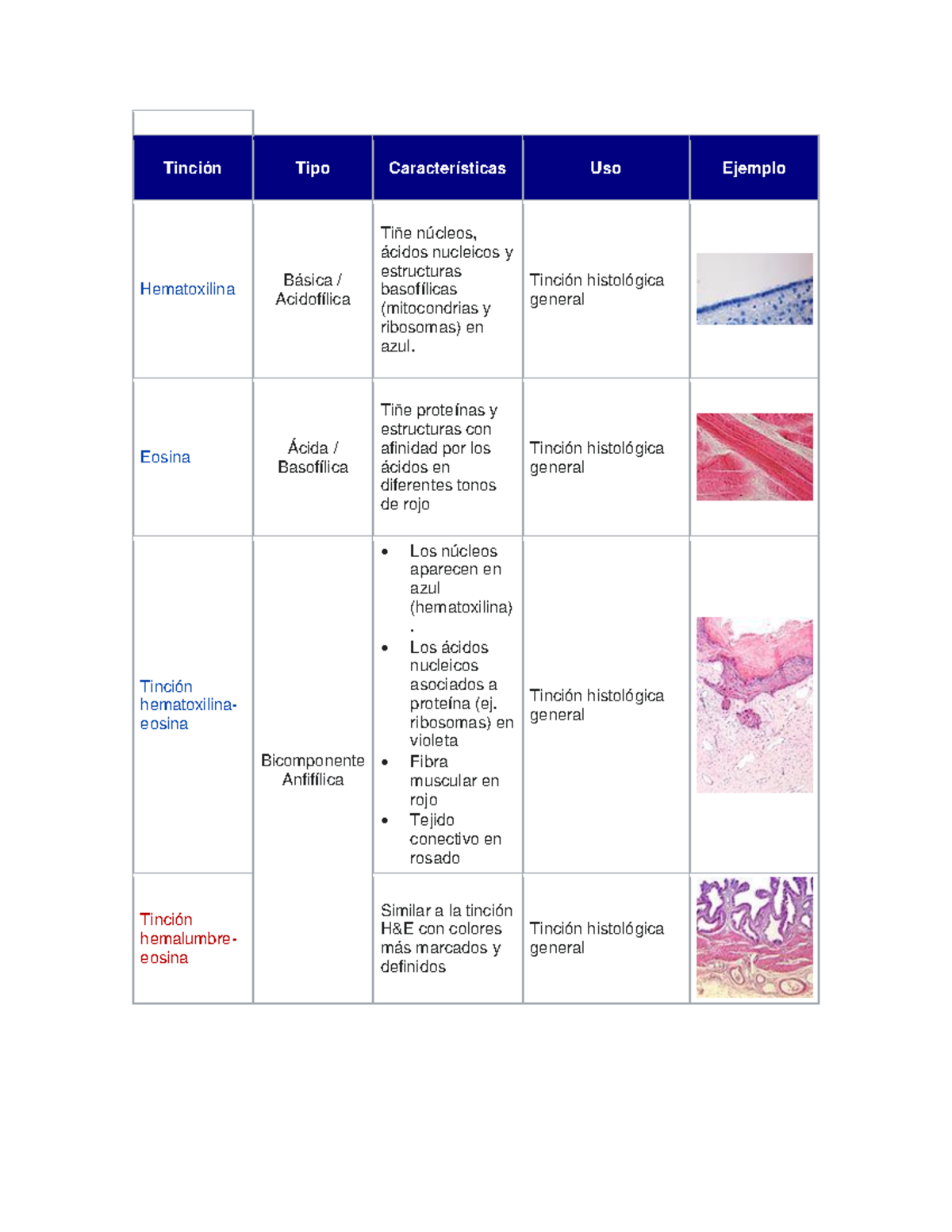 Ejemplos de tipos de tinciones - Tinción Tipo Características Uso ...