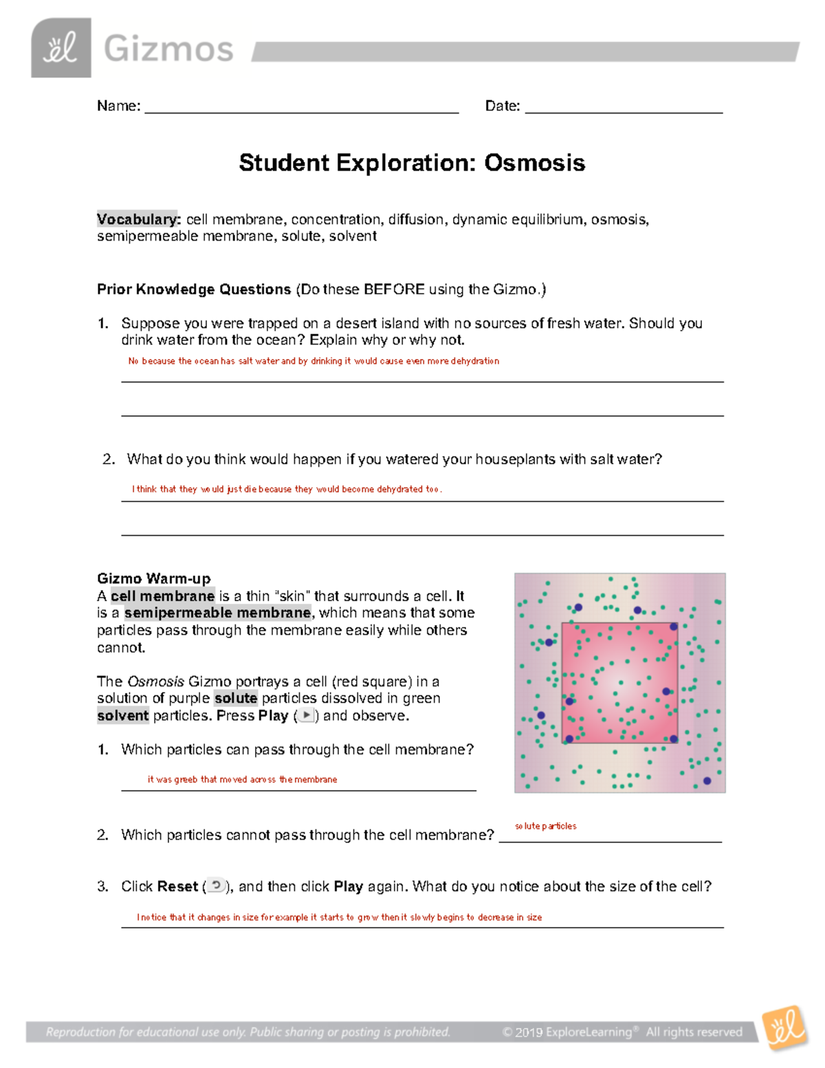 Microsoft Word - Osmosis Gizmo Worksheet.docx copy - Name