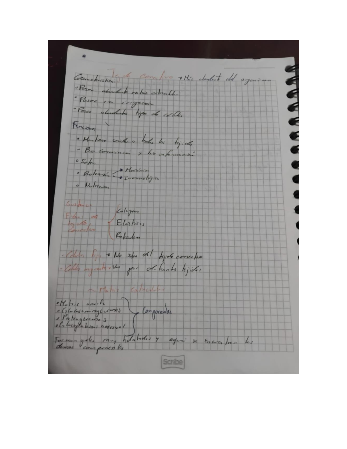 Tejido conectivo - @ Correctoristics: I do conetive Mrs abudents old ...