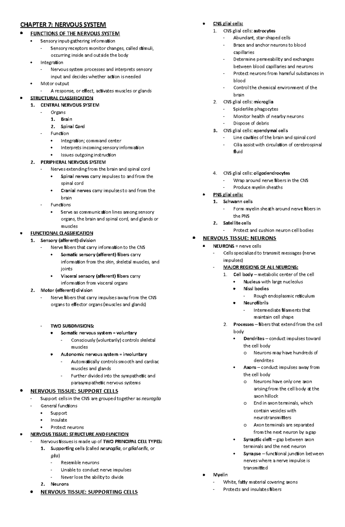 Anaphy LEC Nervous System - CHAPTER 7: NERVOUS SYSTEM FUNCTIONS OF THE ...