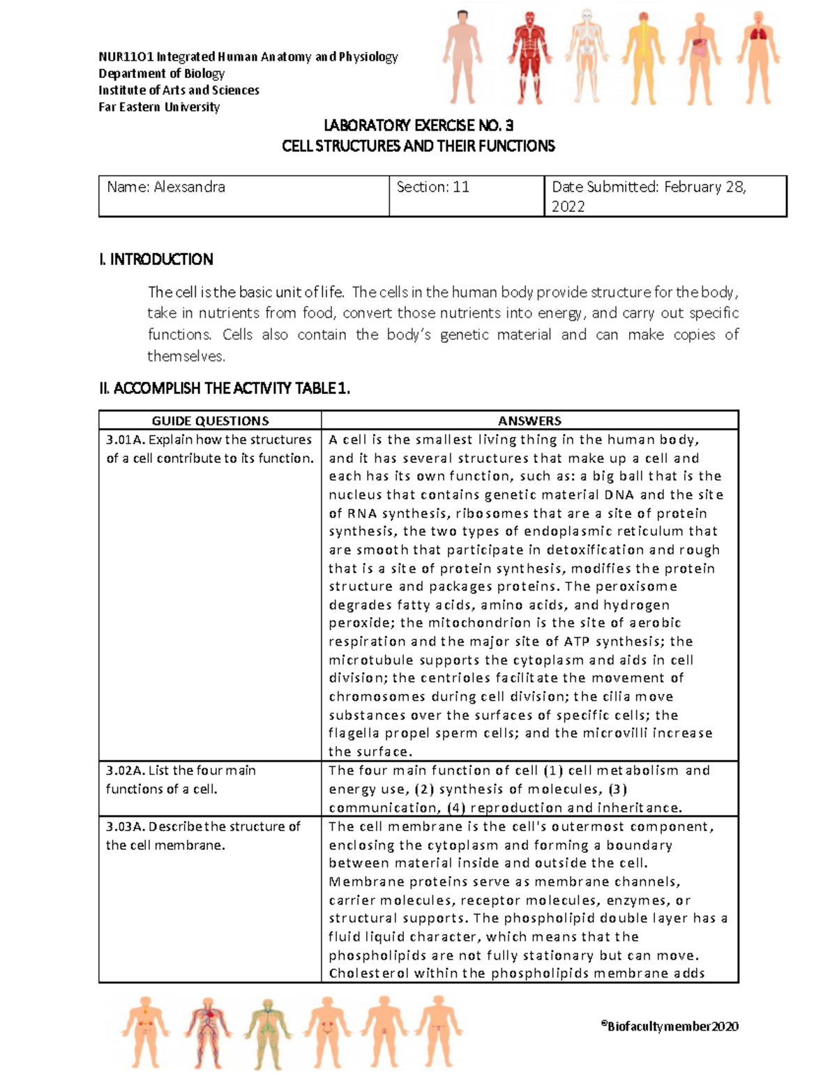 LEC Activity 3 THE CELL Structure AND Their Functions-1 - Department of ...