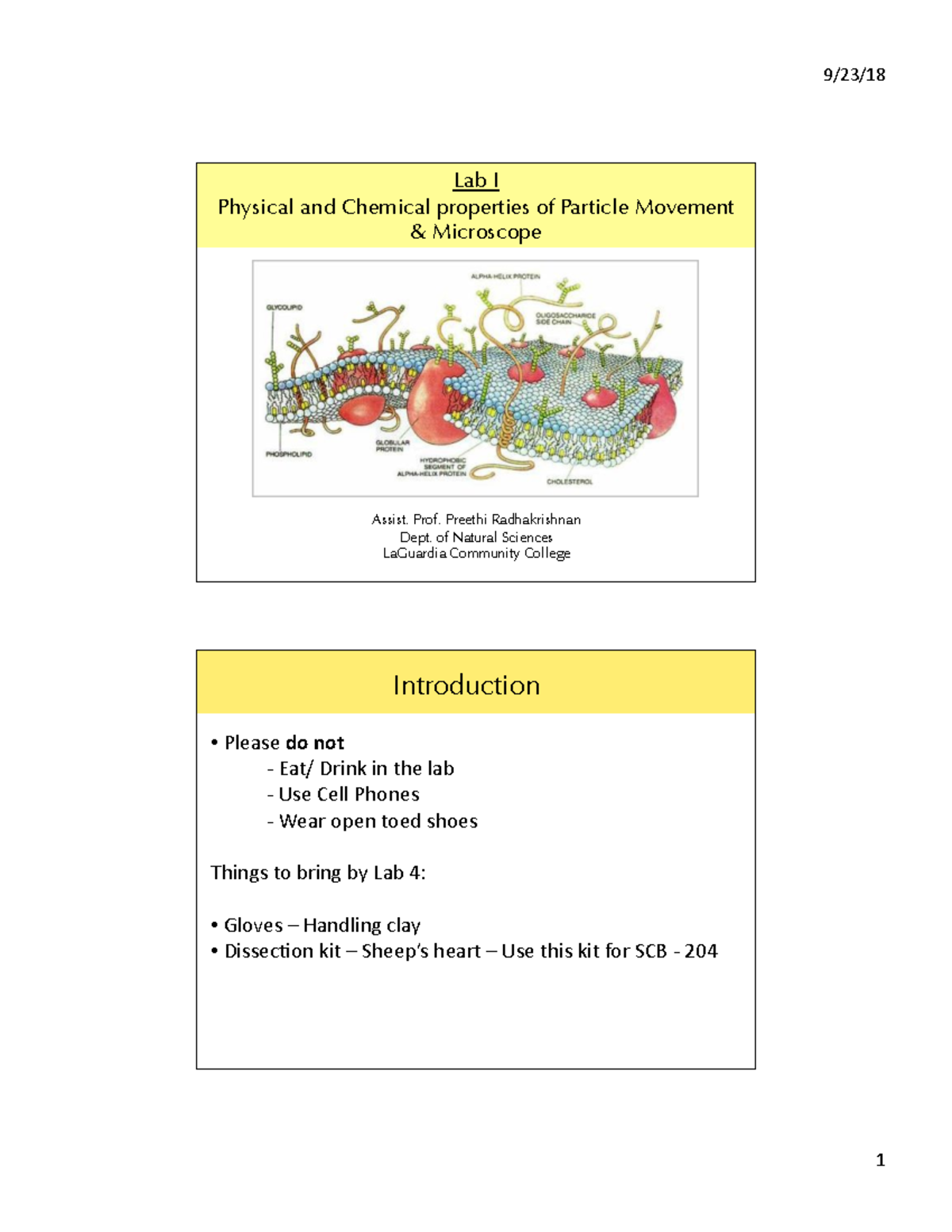 Lab 1 - LAB 1 chemical and physical property movement - Lab I Physical ...
