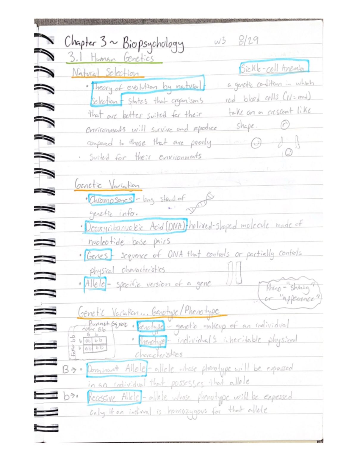 Intro to Psychology- Chapter 3 Biopyschology - PSYC 1101 - Studocu