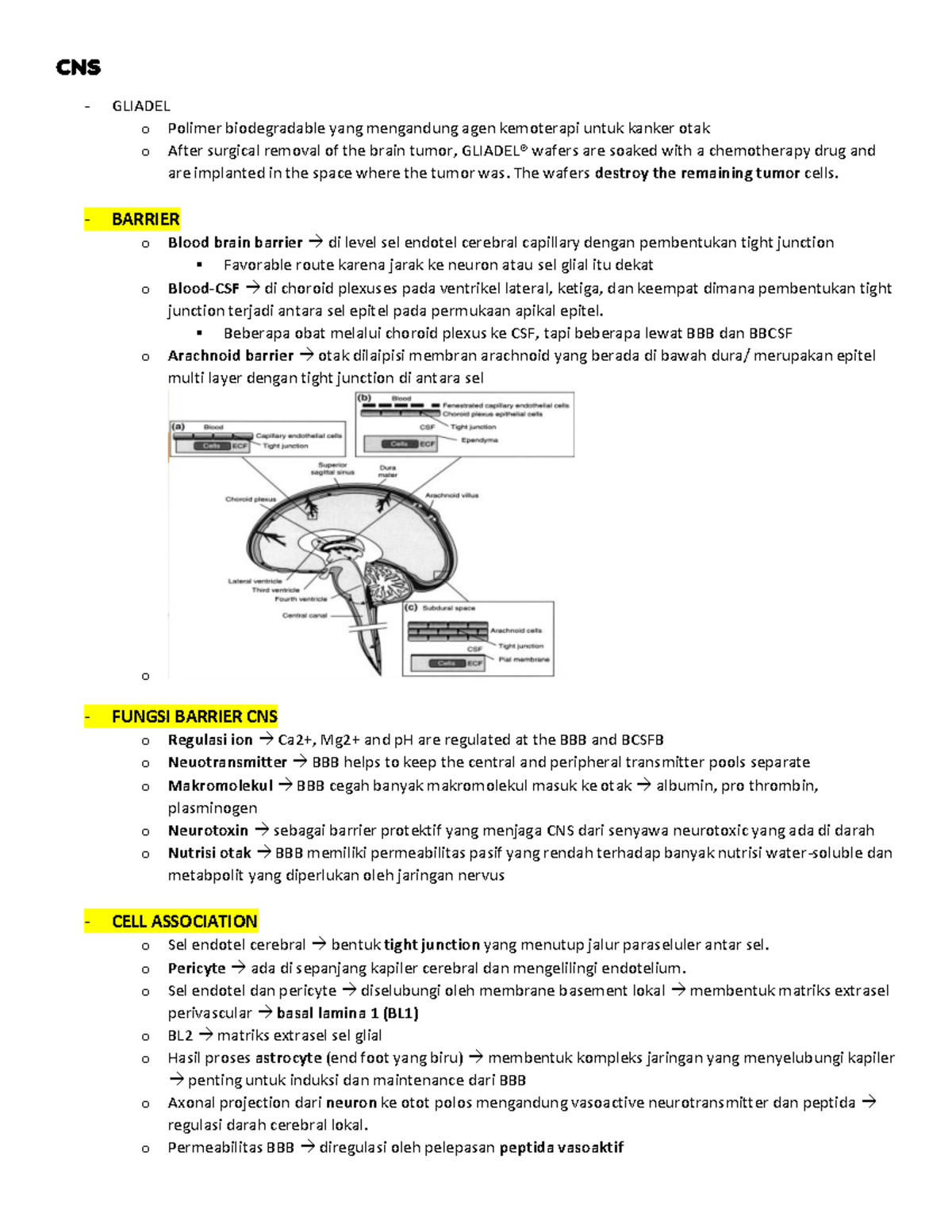 CNS - Central Nervous System - CNS - GLIADEL o Polimer biodegradable yang mengandung agen ...