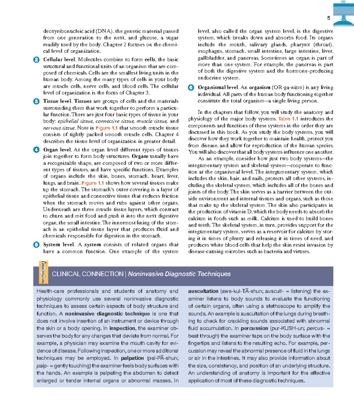 Anatomyandphy-19 - N/A - 5 level, also called the organ system level ...