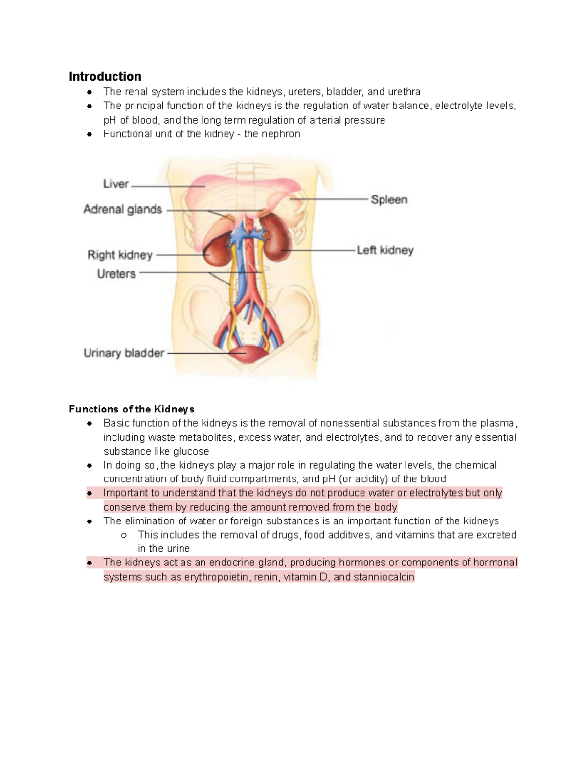 Copy of Module 11 Renal System - Introduction The renal system includes ...