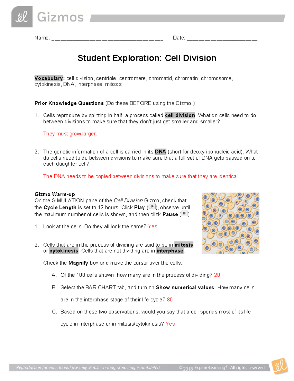 Cell Division SE - Gizmo - Name ...