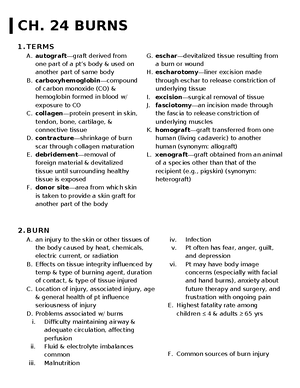 DB 2 Barbara Carper Patterns of Knowing - Read Barbara Carper's ...