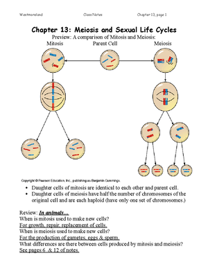 Principles of Biology - Chapter 1: Introduction to Biology Biology is ...