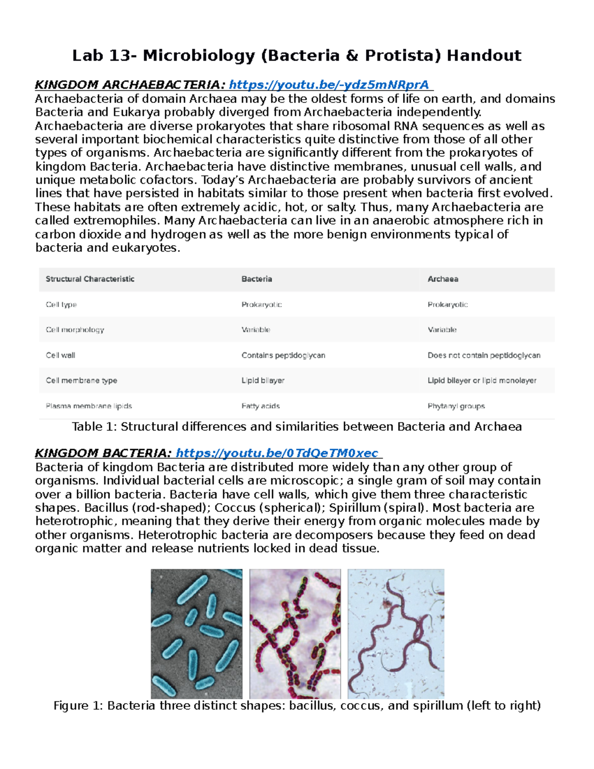 Lab 13- Microbiology (Bacteria & Protista) Handout - Lab 13 ...