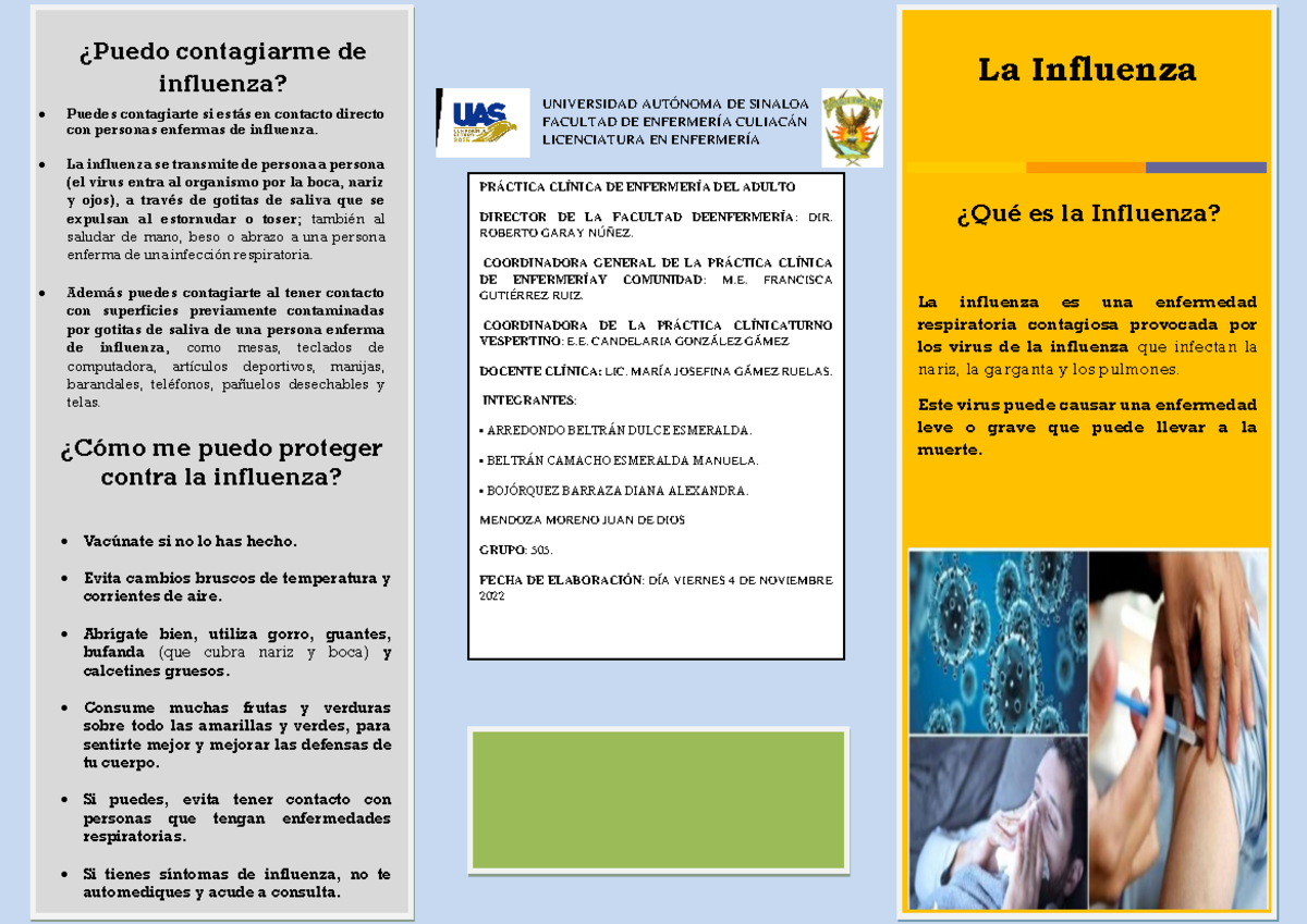 Folleto Influenza YA Tiene Portada - øQuÈ es la Influenza? La influenza ...