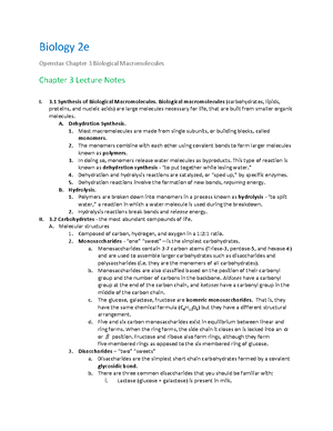 Chp 3 Anatomy notes - Chapter 3: Cellular Form & Function Flow Down ...