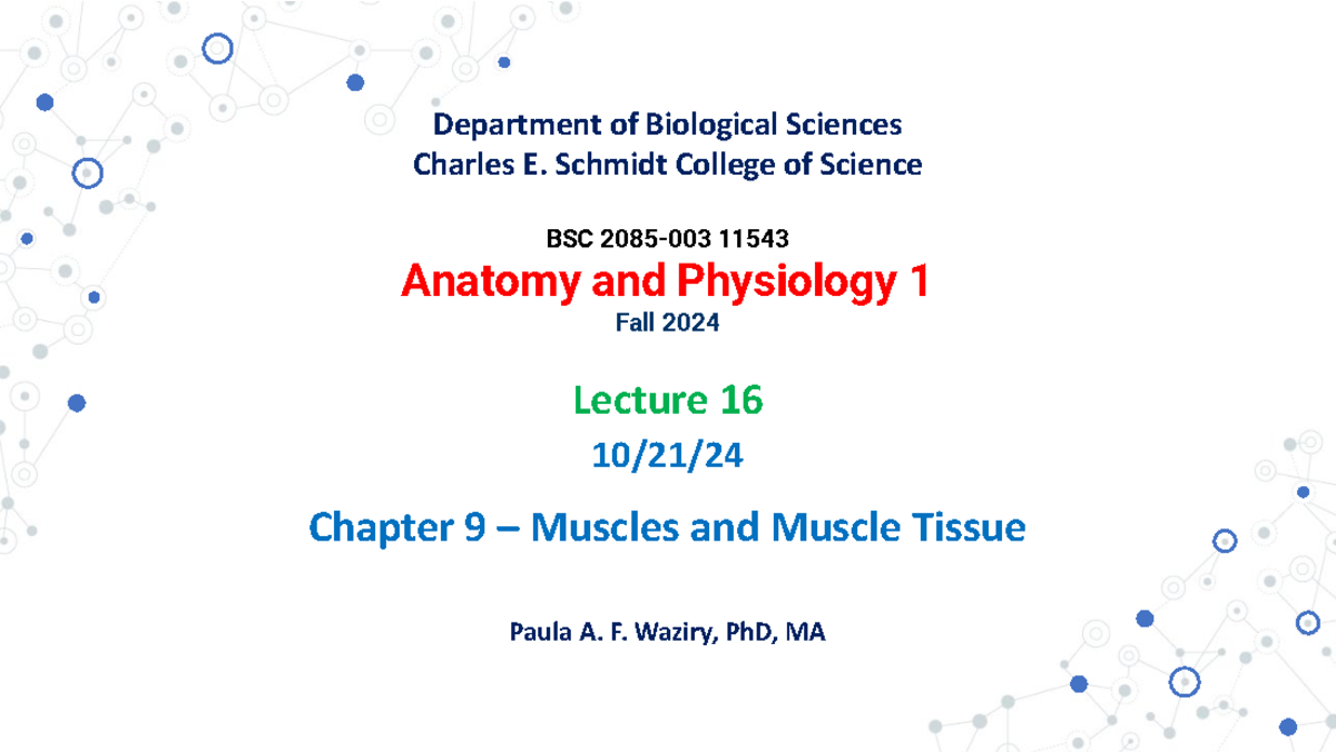 Lecture 16 x anatomy - Department of Biological Sciences Charles E ...