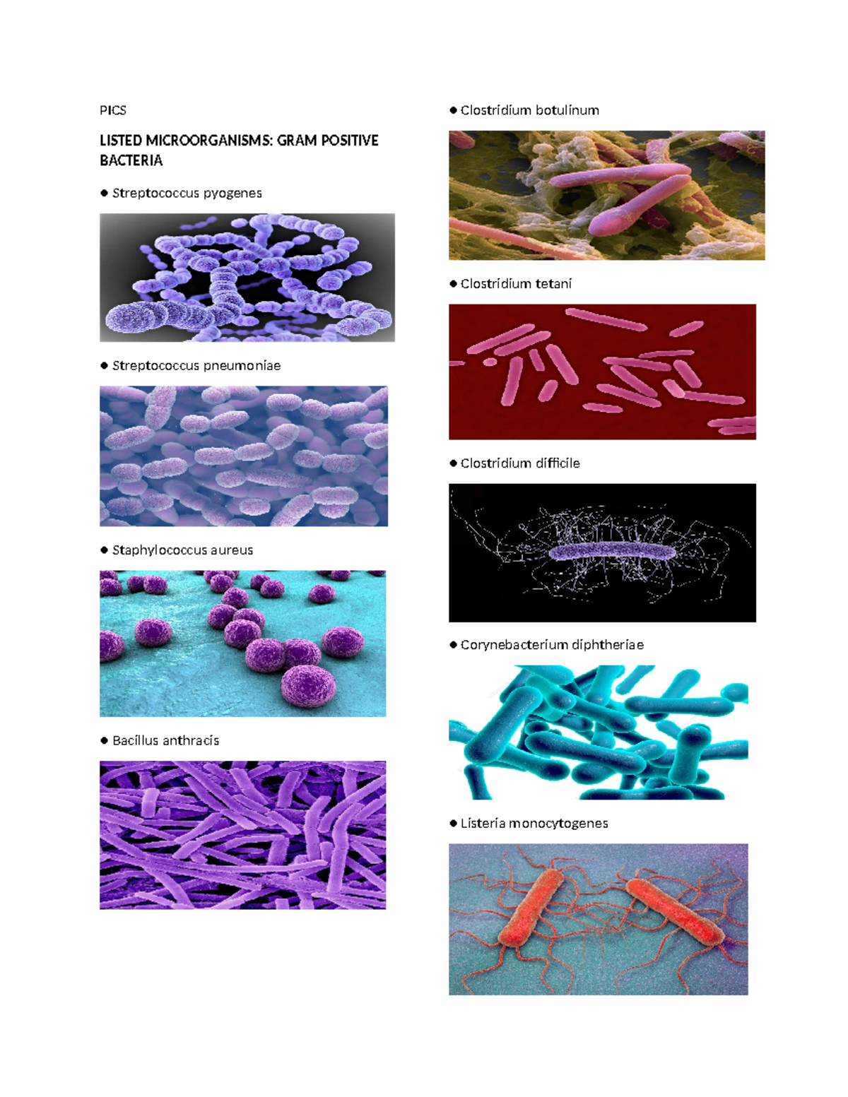 PICS- Micropara - PICS LISTED MICROORGANISMS: GRAM POSITIVE BACTERIA ...