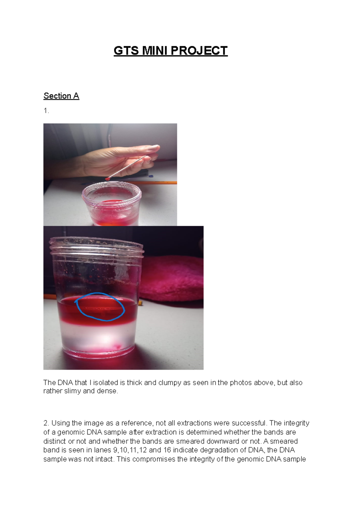 GTS Mini Project - GTS MINI PROJECT Section A 1. The DNA that I ...