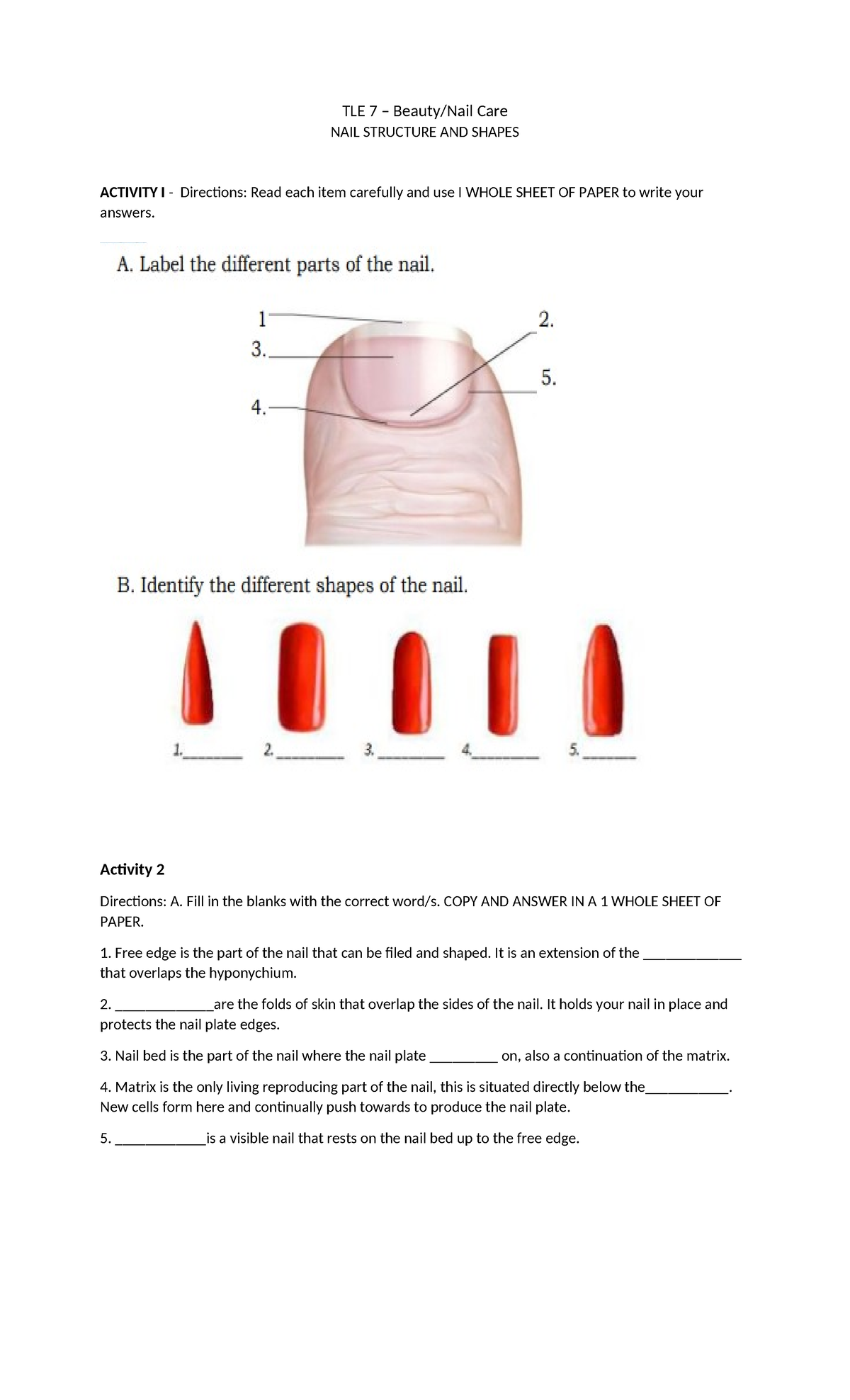 Inbound 8193992912164146786 - TLE 7 – Beauty/Nail Care NAIL STRUCTURE ...
