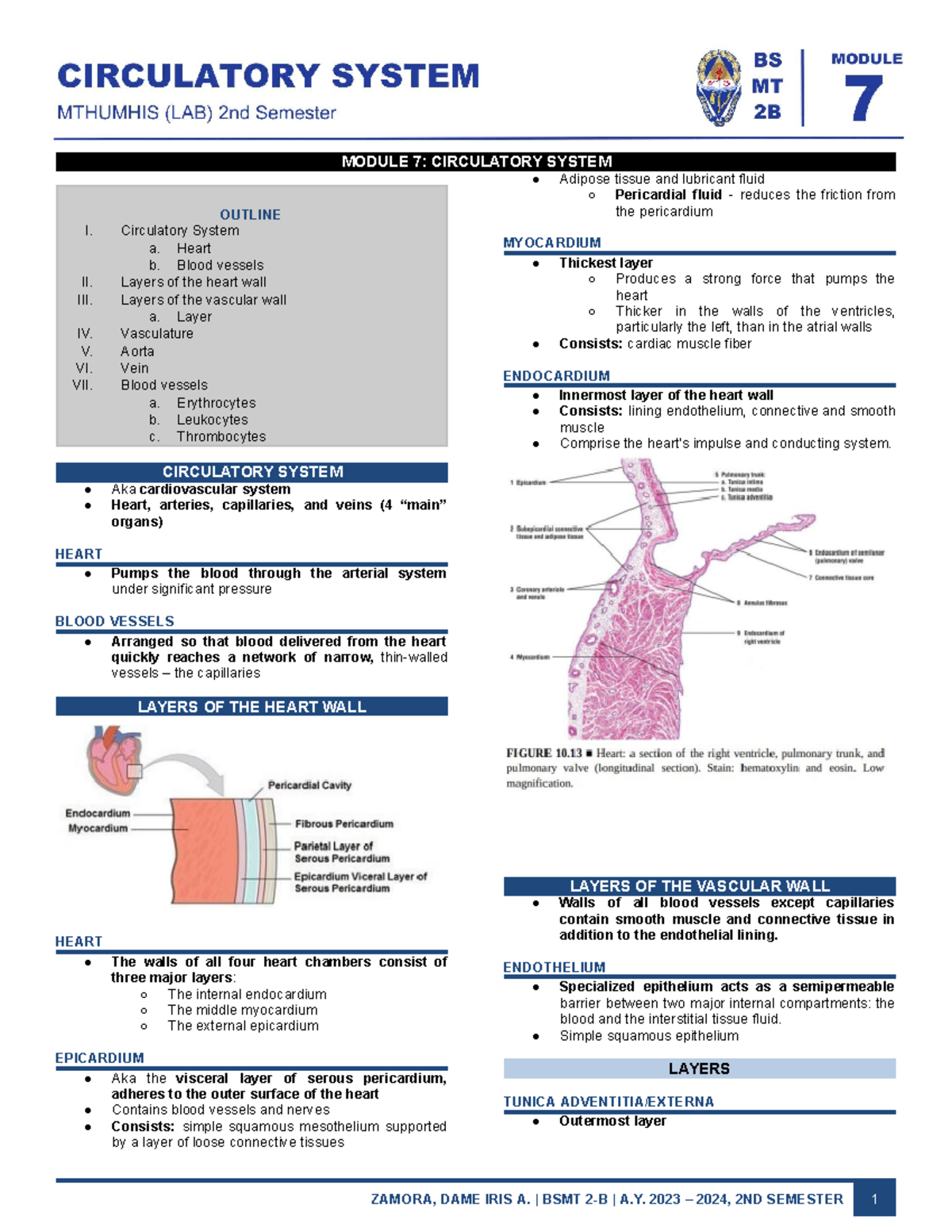 Histo LAB MOD 7 - MODULE 7: CIRCULATORY SYSTEM OUTLINE I. Circulatory System a. Heart b. Blood ...