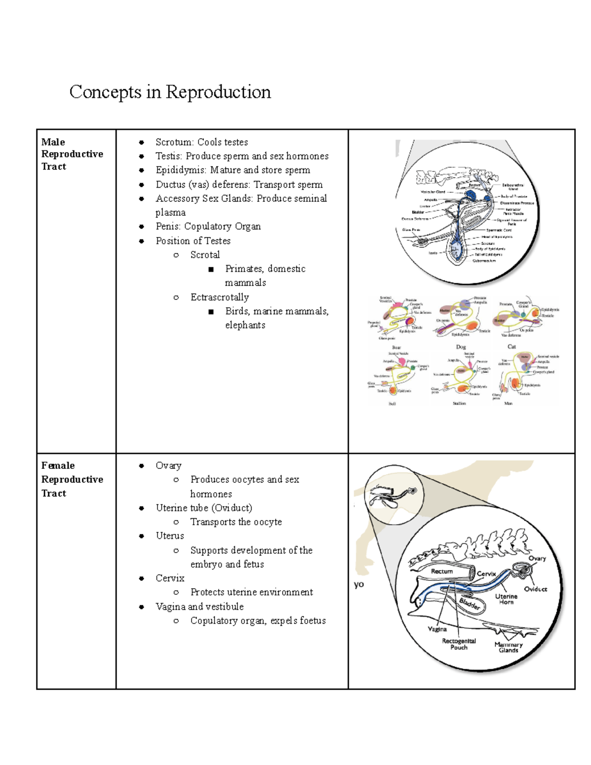 ANSC3102 Animal Reproduction - Lecture Notes part 1 - Concepts in ...