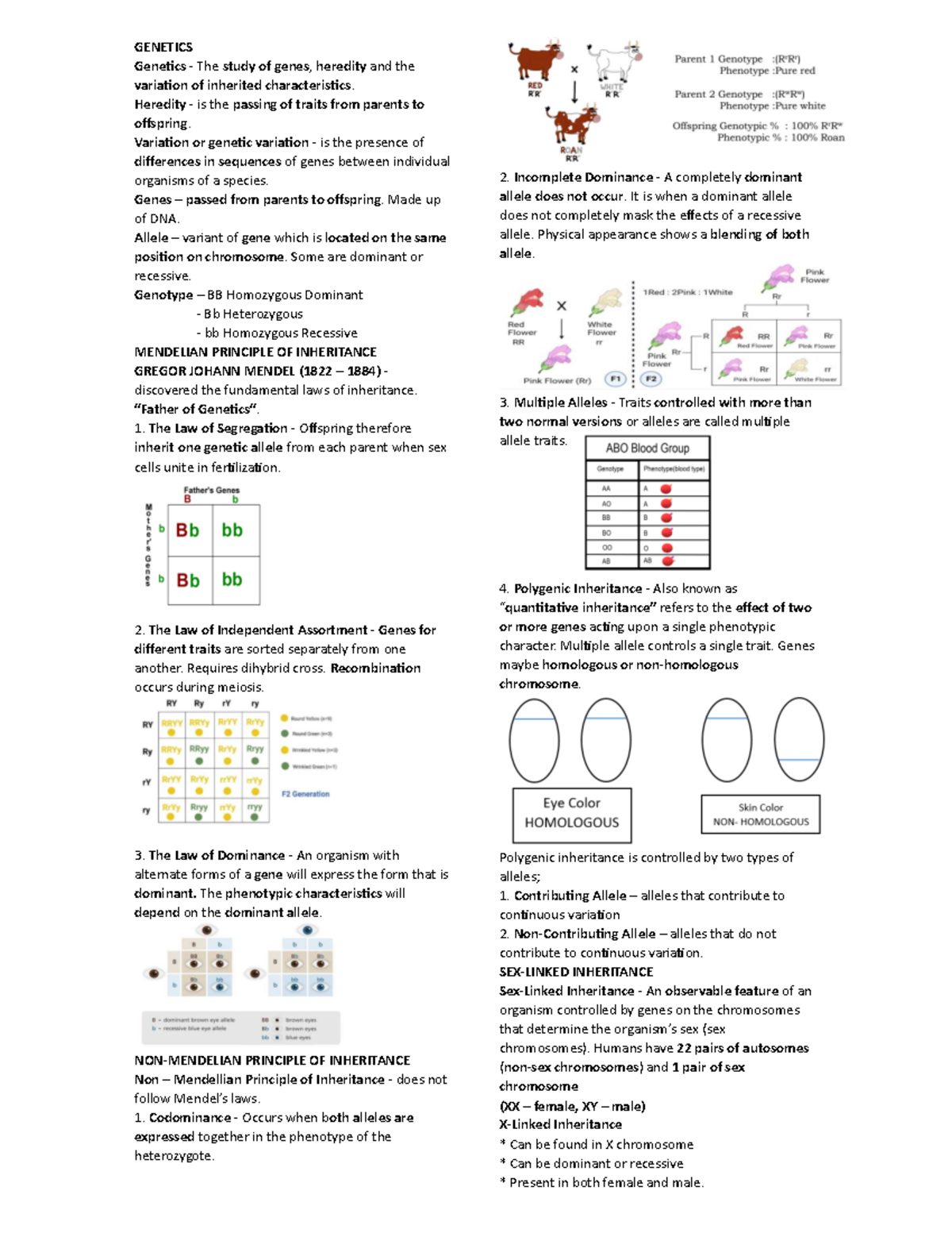 Mendelian Principle OF Inheritance - GENETICS GeneƟcs - The study of ...