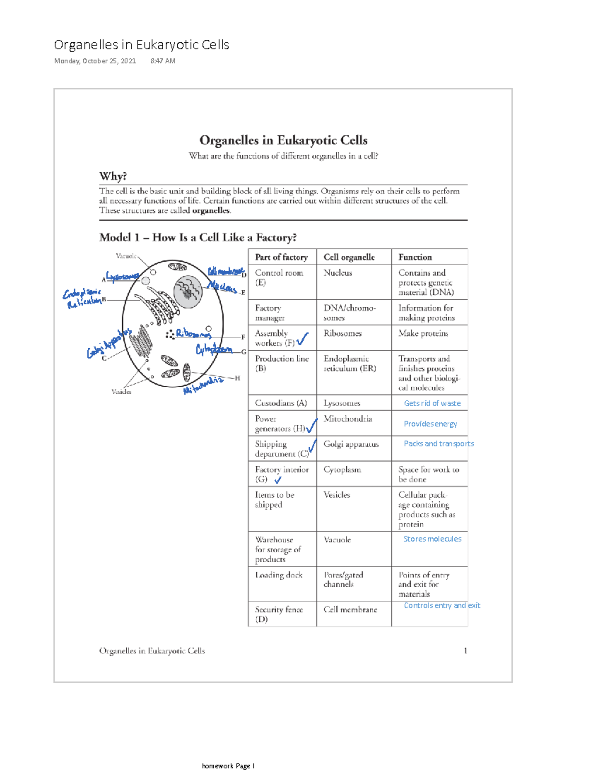Organelles in Eukaryotic Cells - Golgi apparatus. Cell 2 would not have ...