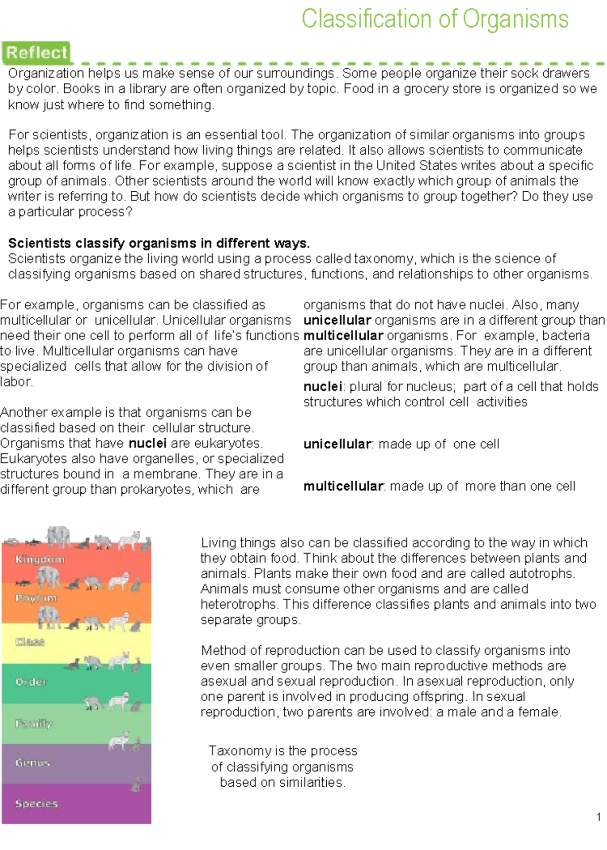Copy of Scope Classification - Organization helps us make sense of our ...