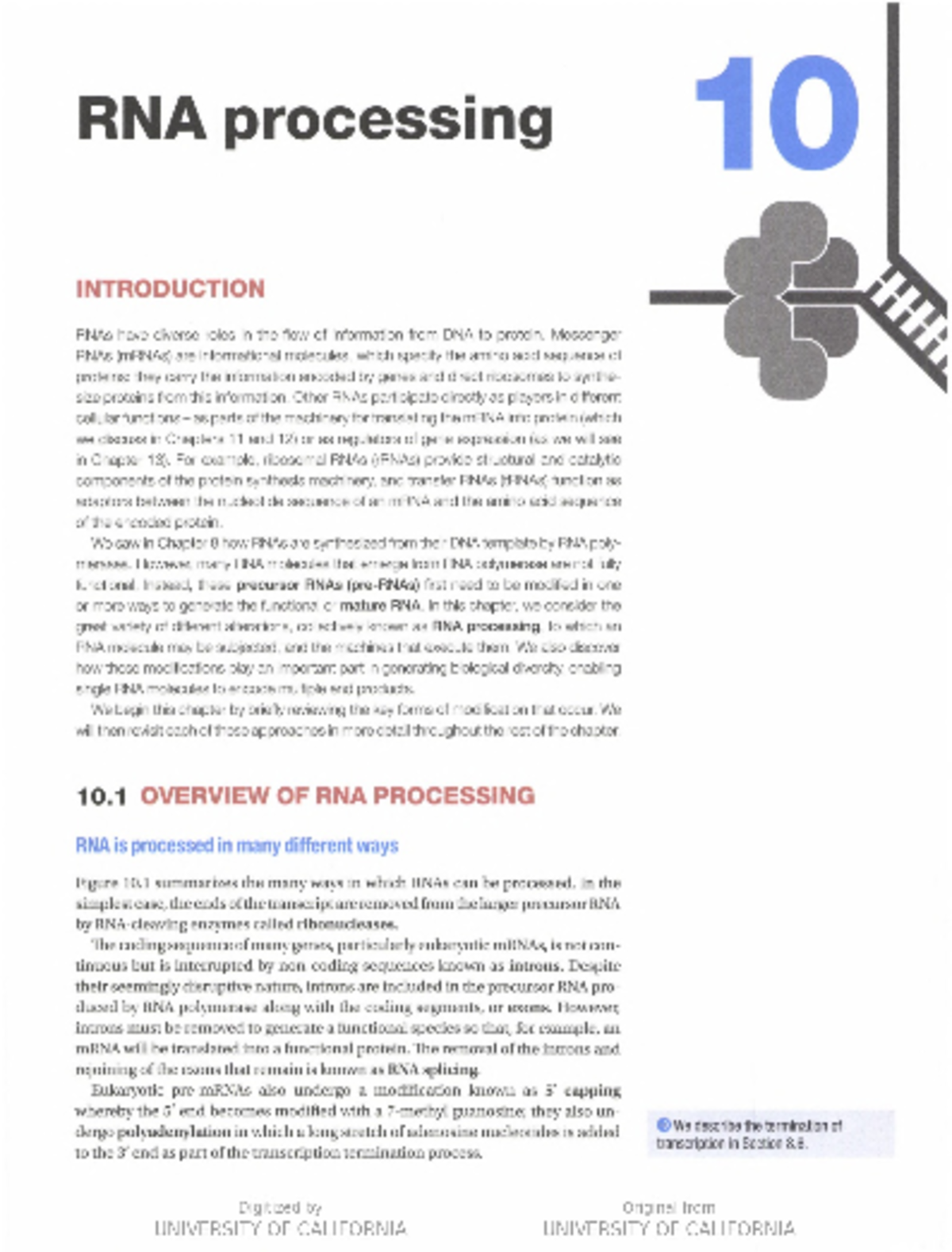 RNA Processing - Notes and highlights from Nancy et Al. Text - RNA ...