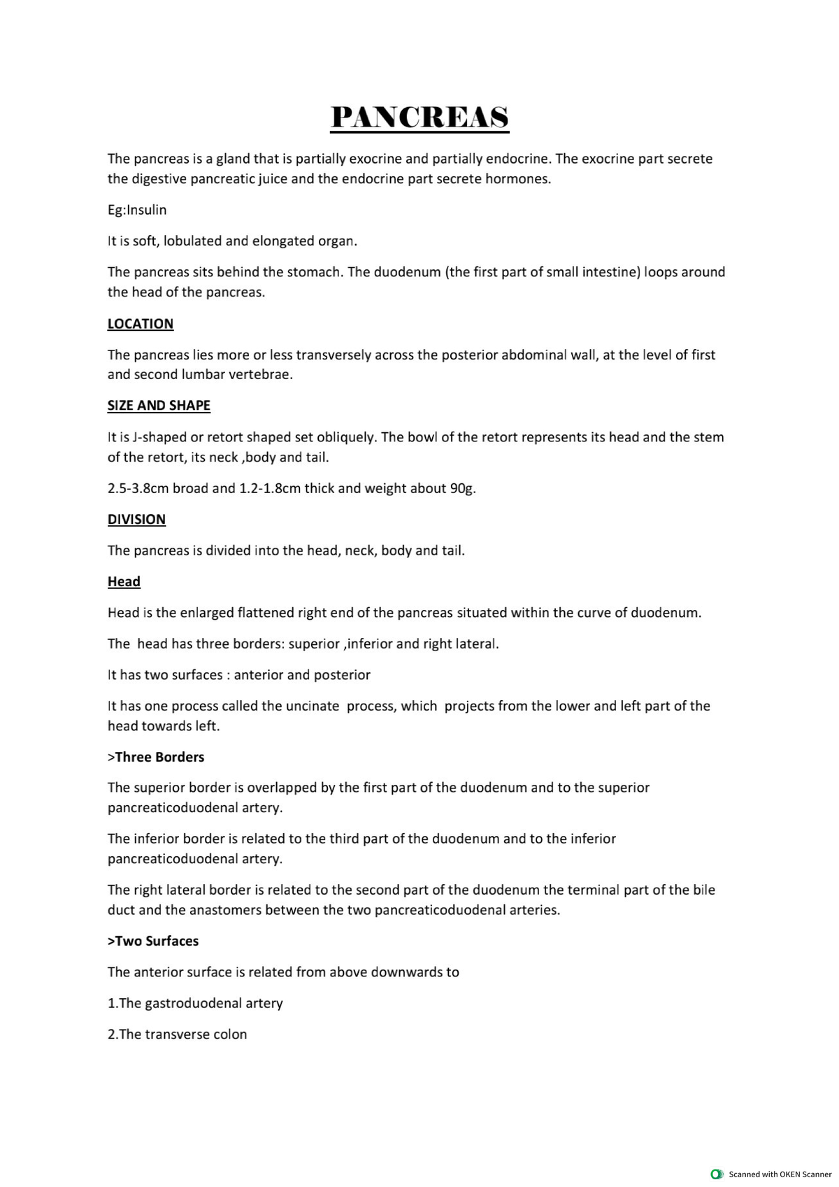 Pancreas - Human Anatomy - Studocu