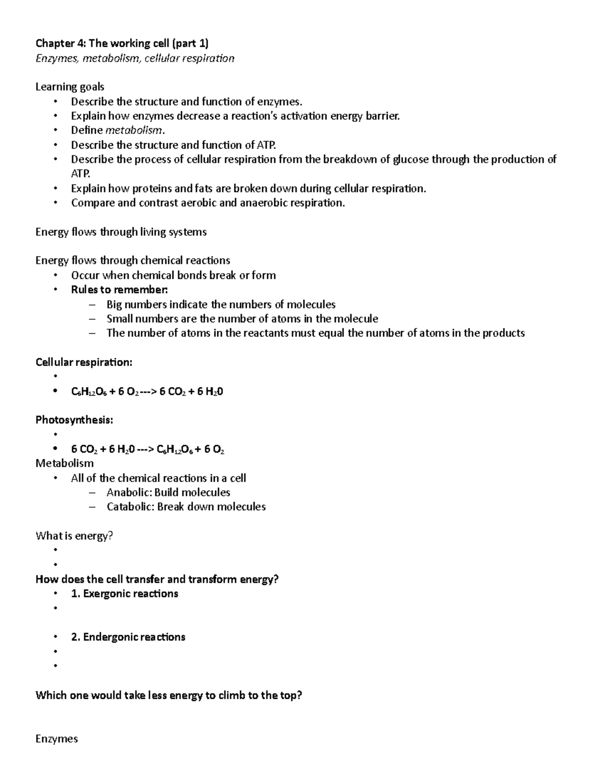 BIOL101 Chapter 4 Notes - Chapter 4: The working cell (part 1) Enzymes ...