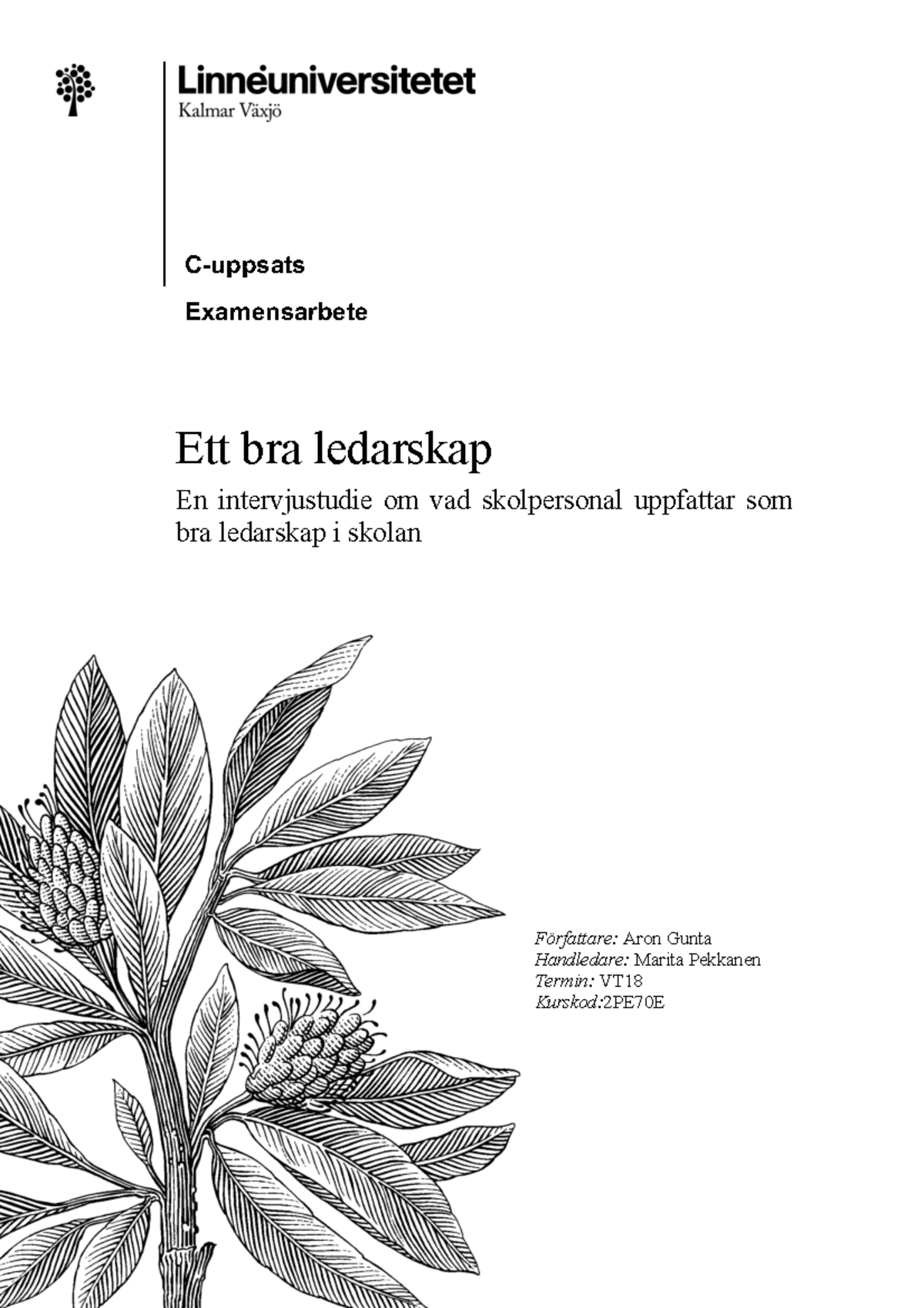 Intervju uppsats -jbjhbnbnbnbb - [ Ett bra ledarskap En intervjustudie ...