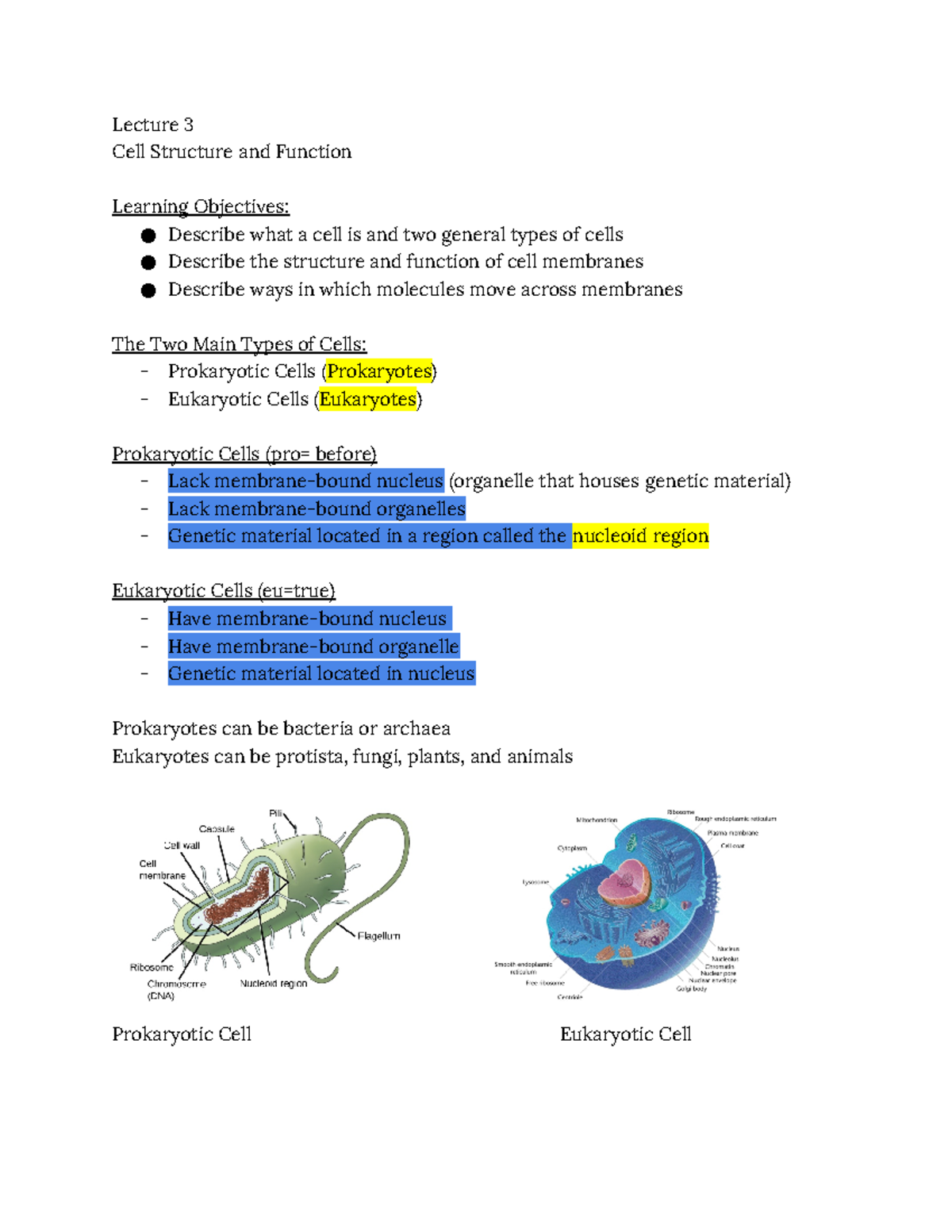 Lecture 3 Cell Structure and Function - Lecture 3 Cell Structure and ...