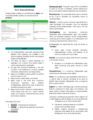 Biochem microbiology - BIOCHEMICAL TESTING AND IDENTIFICATION OF ...