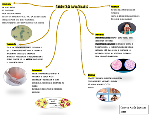 AGAR SIM Medibac LAB - fundamento del medio SIM - Fecha: 06/04/2015 Rev ...