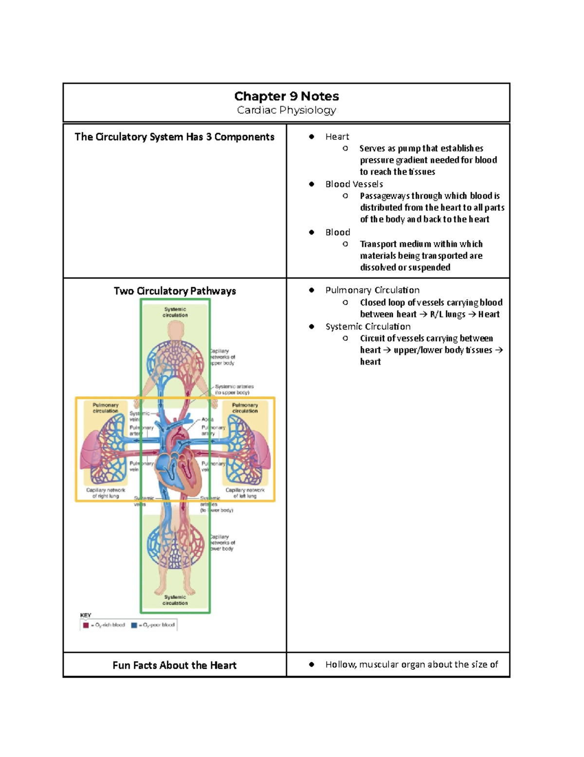 JMU BIO270 Chapter 9 Notes - Chapter 9 Notes Cardiac Physiology The ...