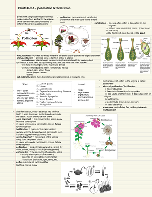 Fungi and Plants - Fungi & Plants Eukaryotic Cell wall made of chitin ...