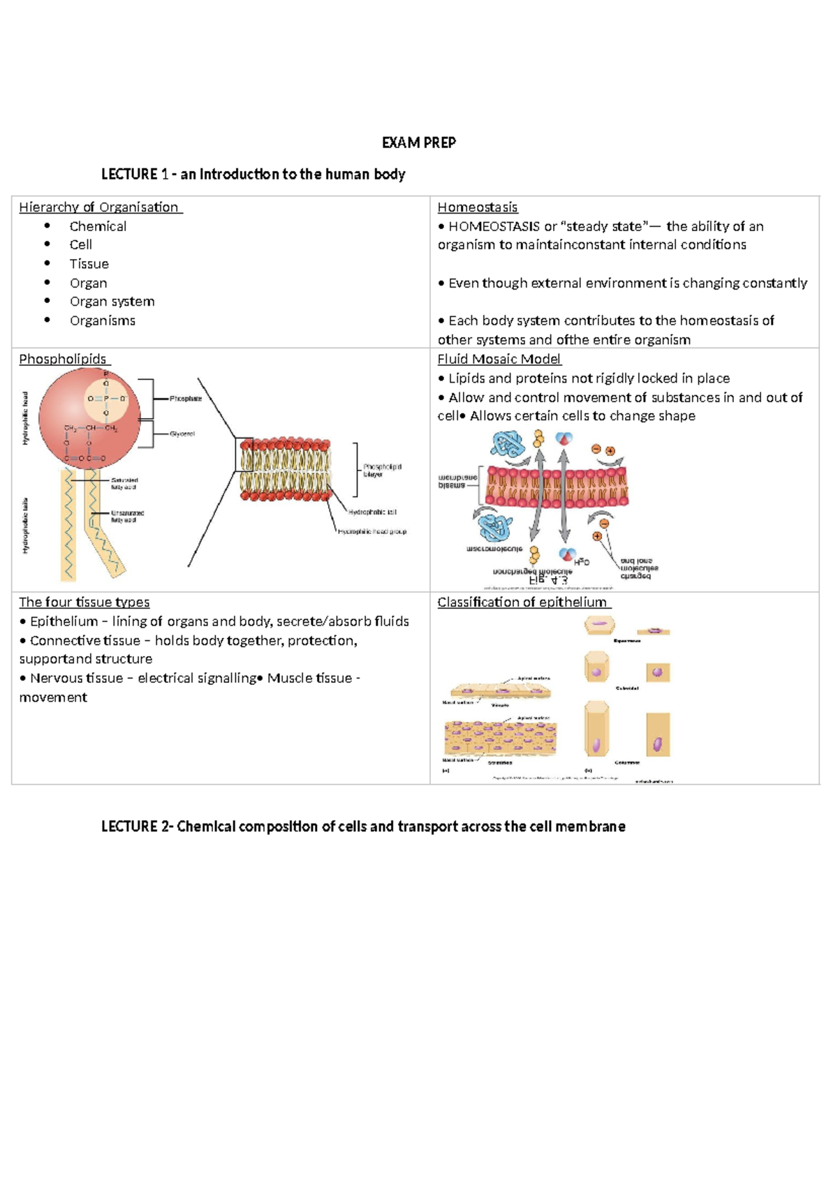EXAM PREP - small exam preparation - EXAM PREP LECTURE 1 - an ...