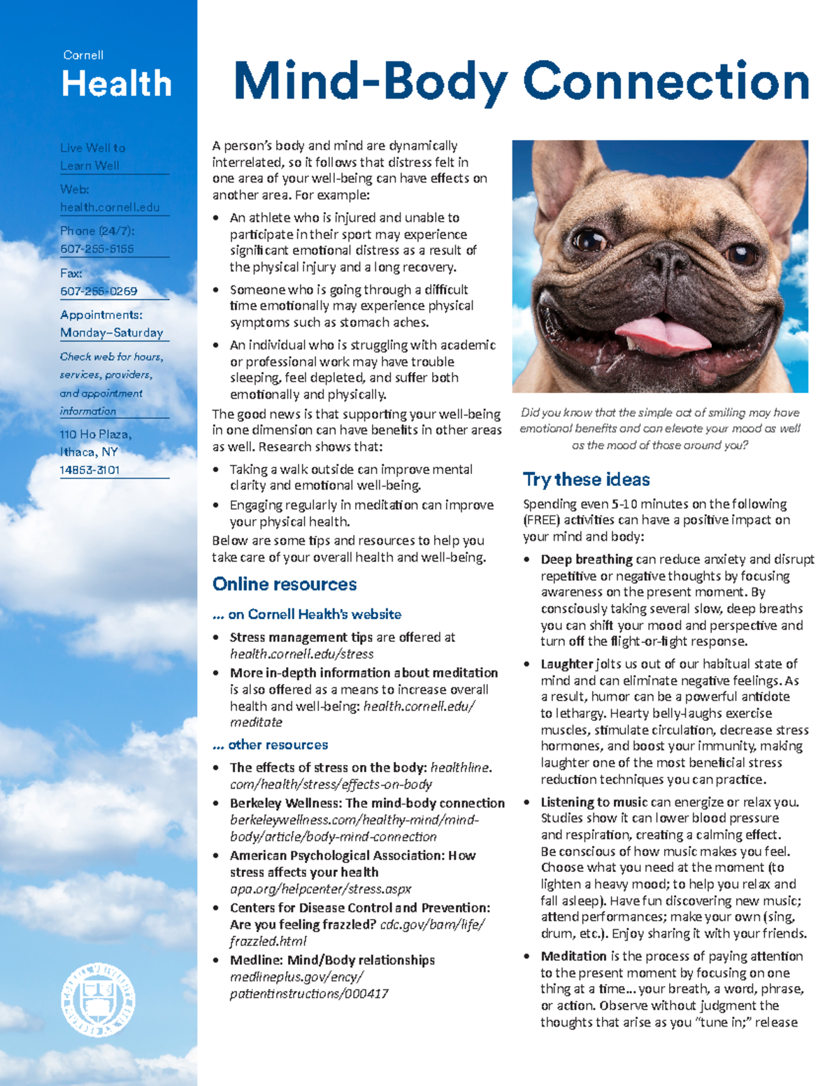 Mind-body-connection - A person’s body and mind are dynamically ...