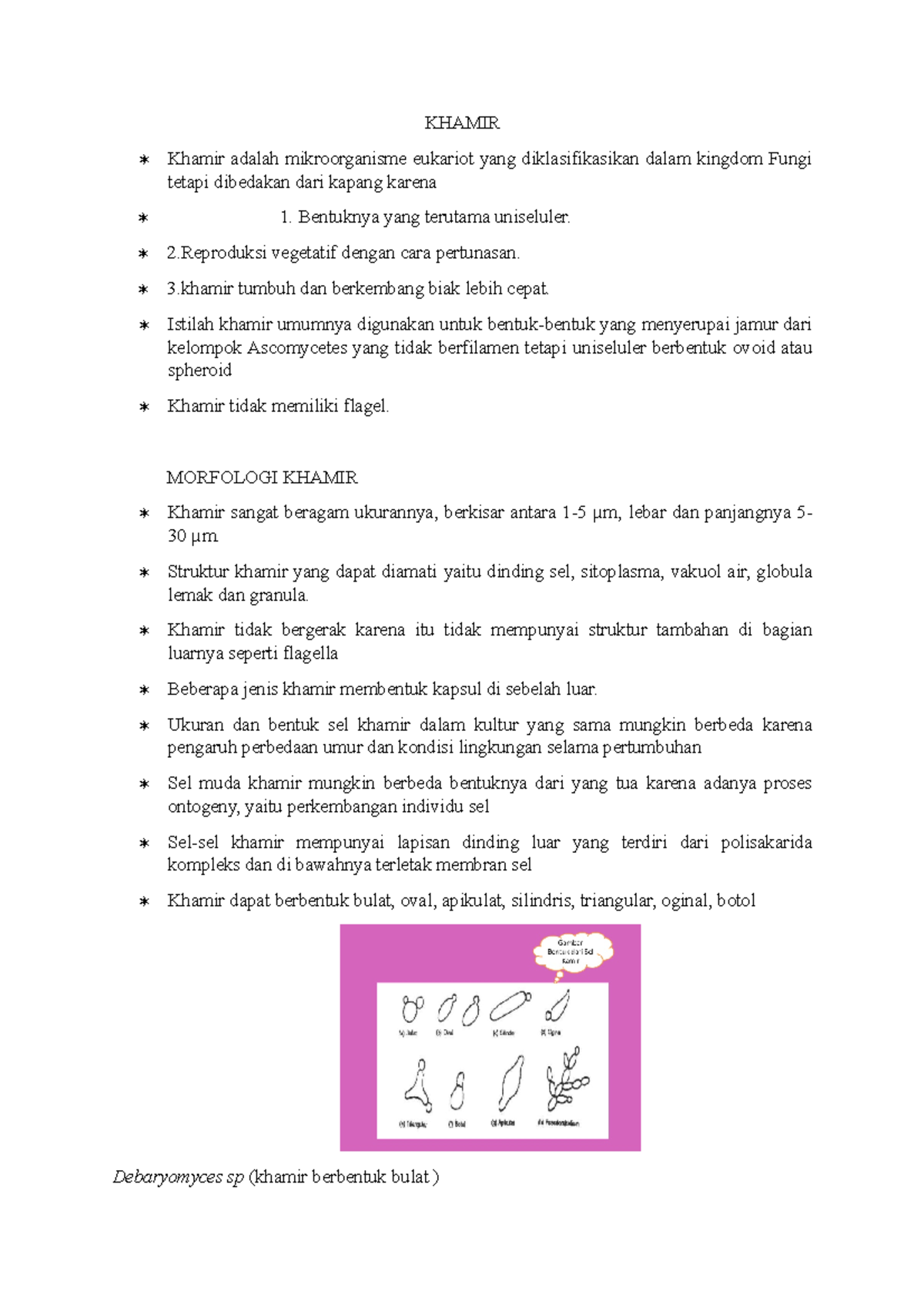 Khamir mikrobiologi 2 - KHAMIR Khamir adalah mikroorganisme eukariot ...