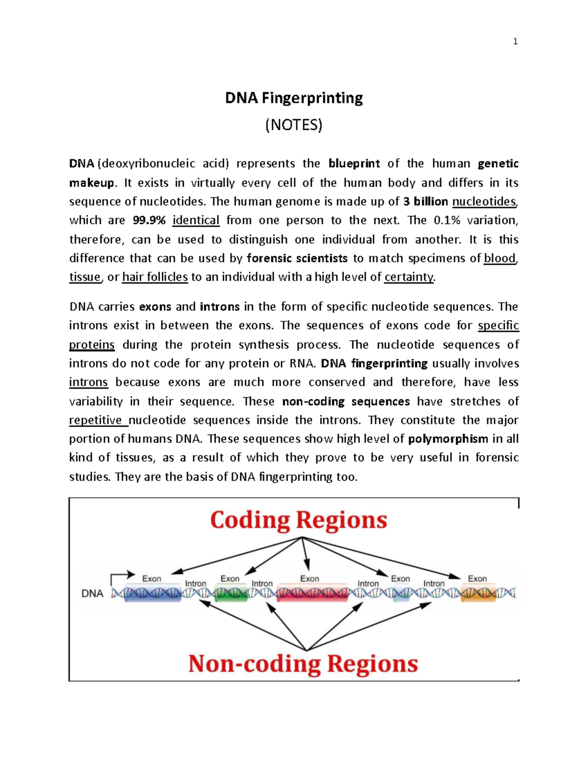 DNA Fingerprinting - Lecture Notes - DNA Fingerprinting (NOTES) DNA ...