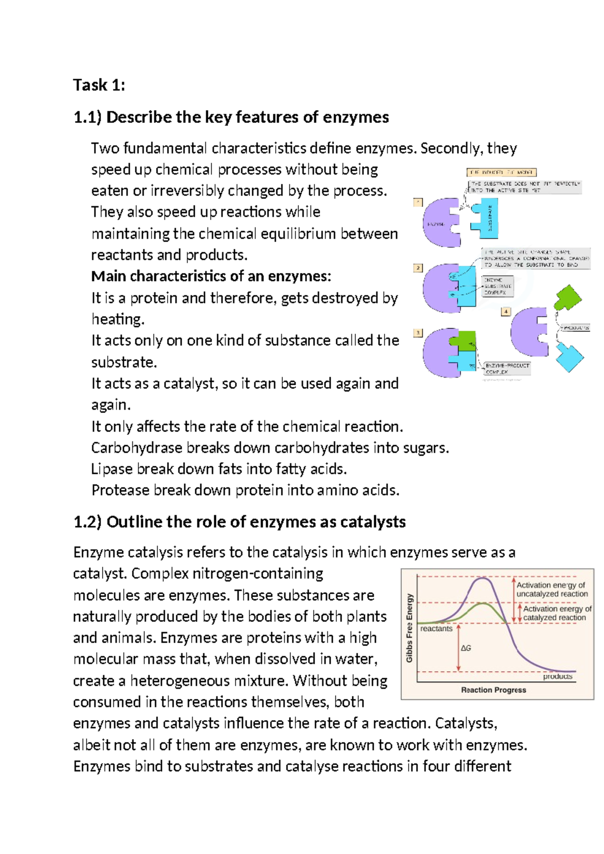 Task 1 - Enzymes - Task 1: 1) Describe the key features of enzymes Two ...