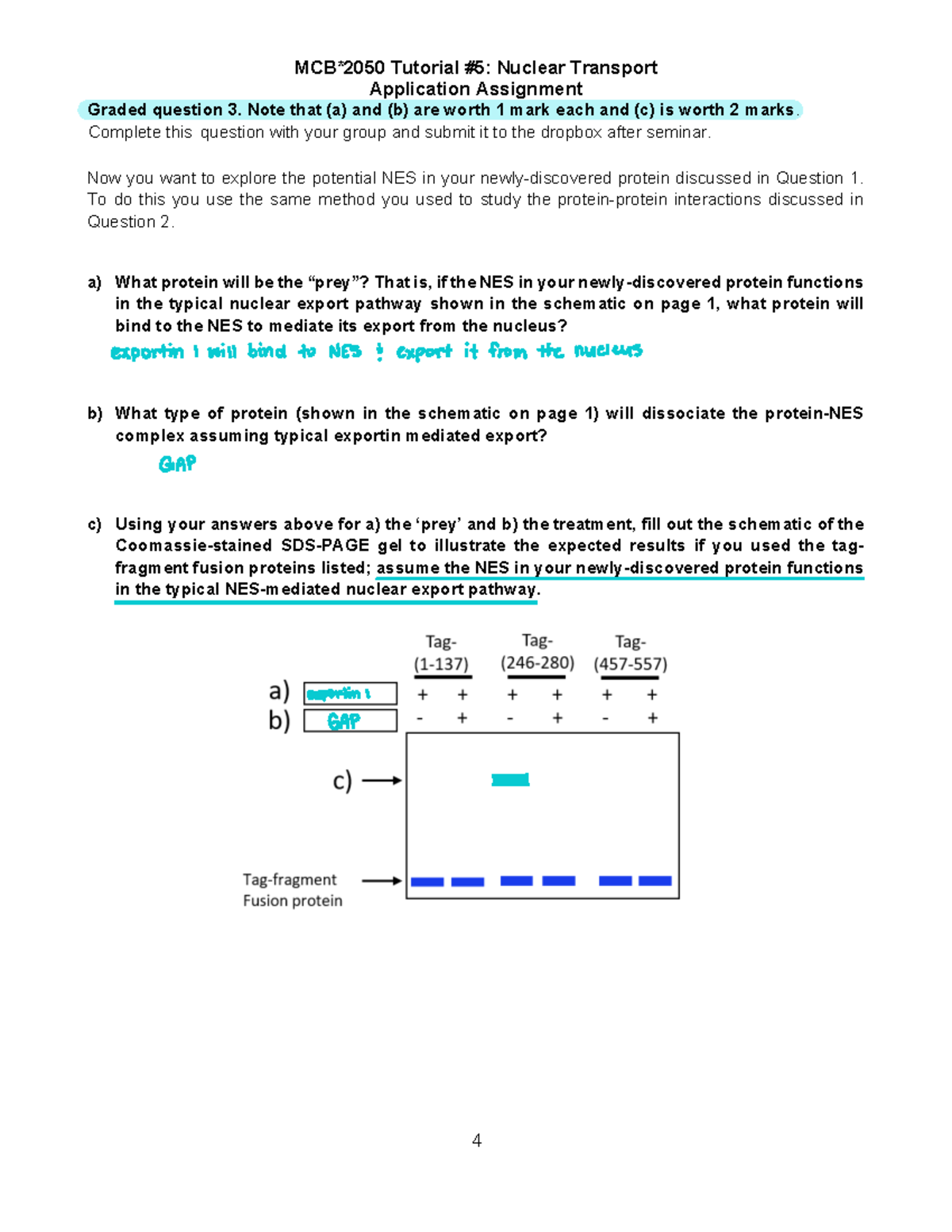 Seminar 5 Nuclear Transport - MCB*2050 Tutorial # 5 : Nuclear Transport Application Assignment 4 ...