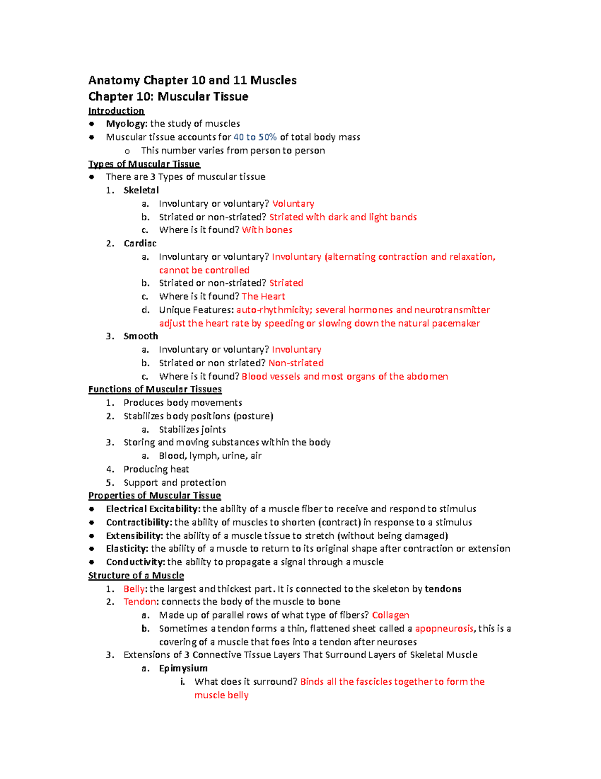 Anatomy Chapter 10 and 11 Muscles Study Guide - Anatomy Chapter 10 and 11 Muscles Chapter 10 ...